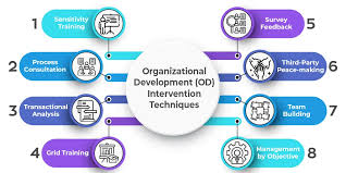 3 Powerful Wins and Hidden Challenges of Technostructural and HRM ...